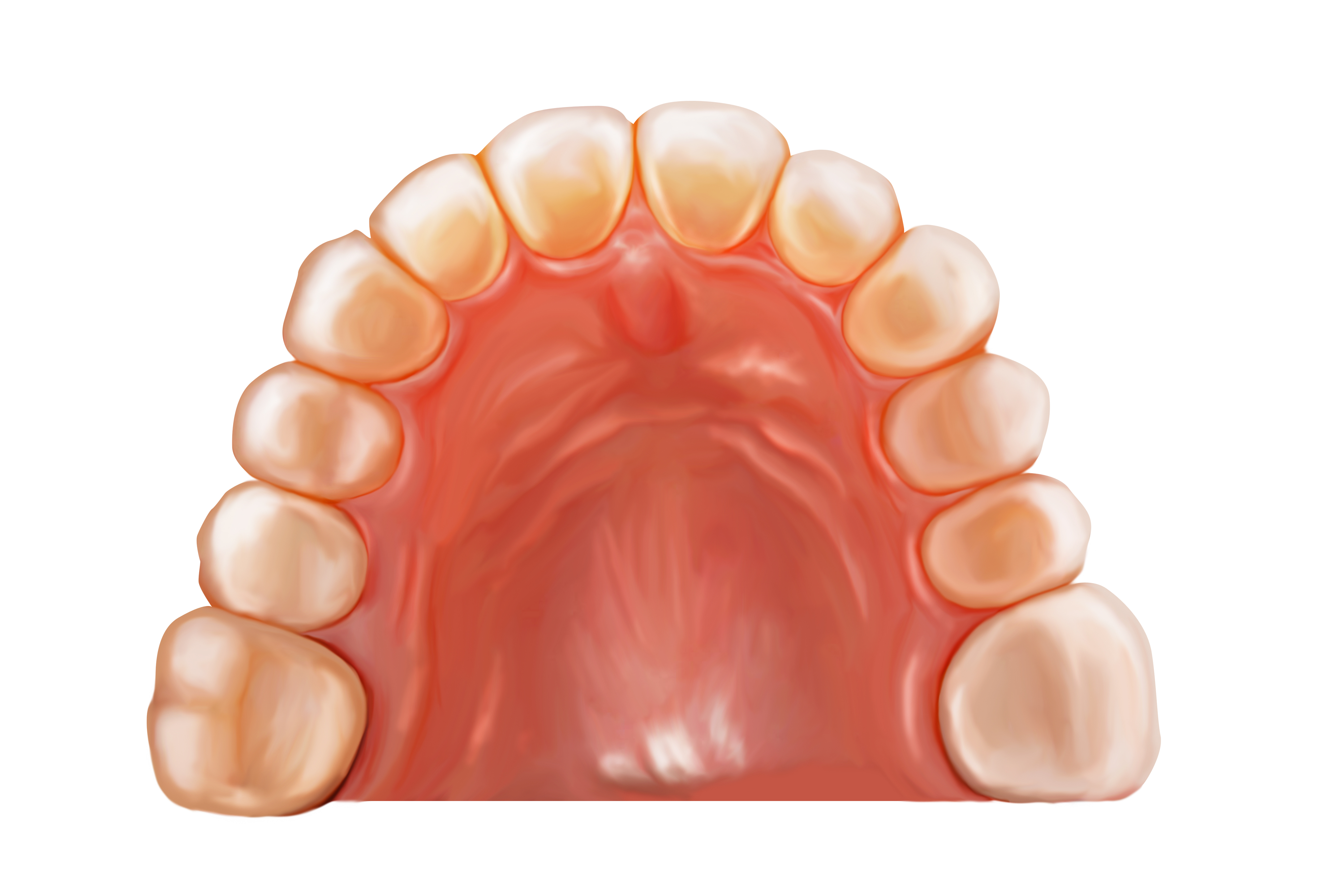 The Real Reason Why You Need Braces – Airway Matters