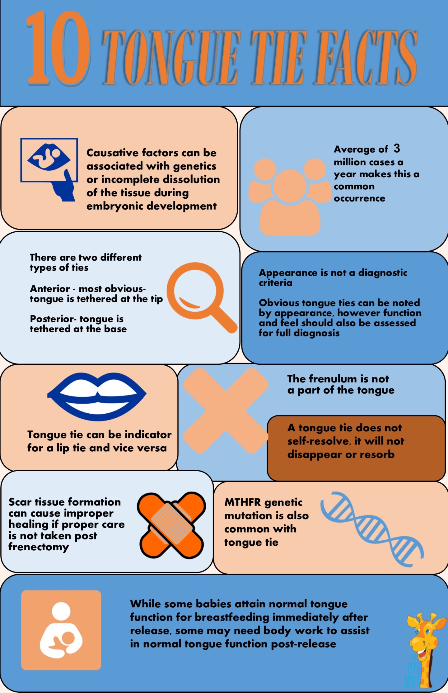 The Ultimate Guide for the Tongue Tied – Airway Matters